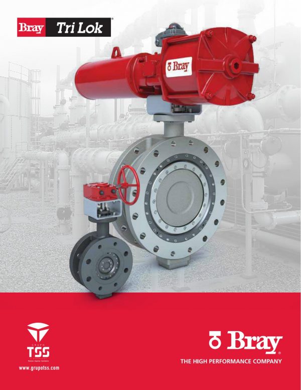 BRAY ELECTRO SERIE 6A POSICIONADOR NEUMÁTICO – GrupoTSS