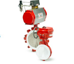 BRAY SERIES 30/31 – GrupoTSS